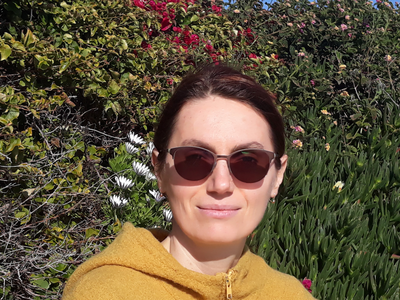 Johanna Domokos - Månedens oversetter i februar - NORLA