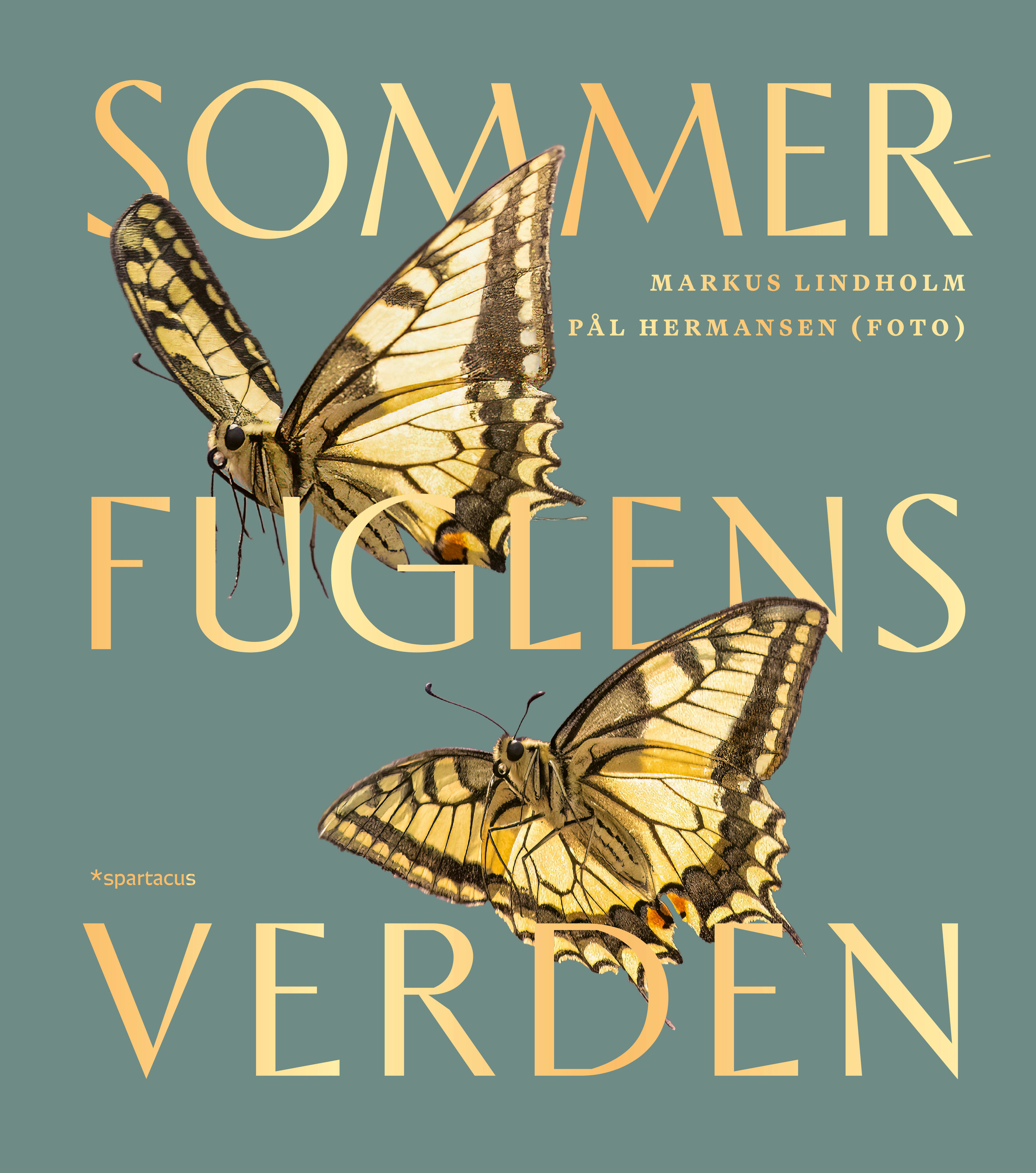 Markus Lindholm, Pål Hermansen (photo) - The World of The Butterfly - NORLA